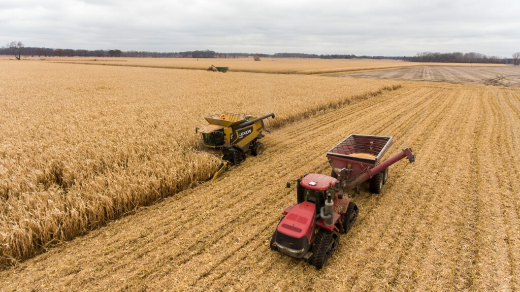 How Natural Resources Can Impact a Country’s Economy | Techicial